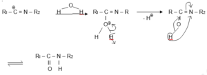 Beckmann Rearrangement | Beckmann Rearrangement Mechanism | Beckmann ...